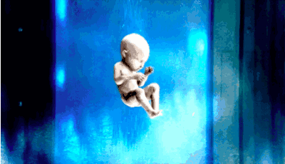 Can You Fall Asleep in a Sensory Deprivation / Flo